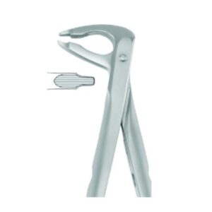 Atraumatic Extraction Forcep - Upper Straight | GOLDMAN DENTAL MANAGEMENT