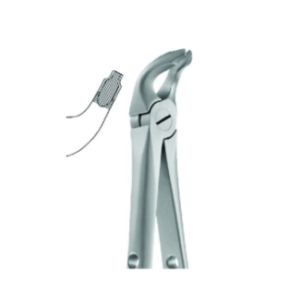 Atraumatic Extraction Forcep – Lower Universal | GOLDMAN DENTAL MANAGEMENT