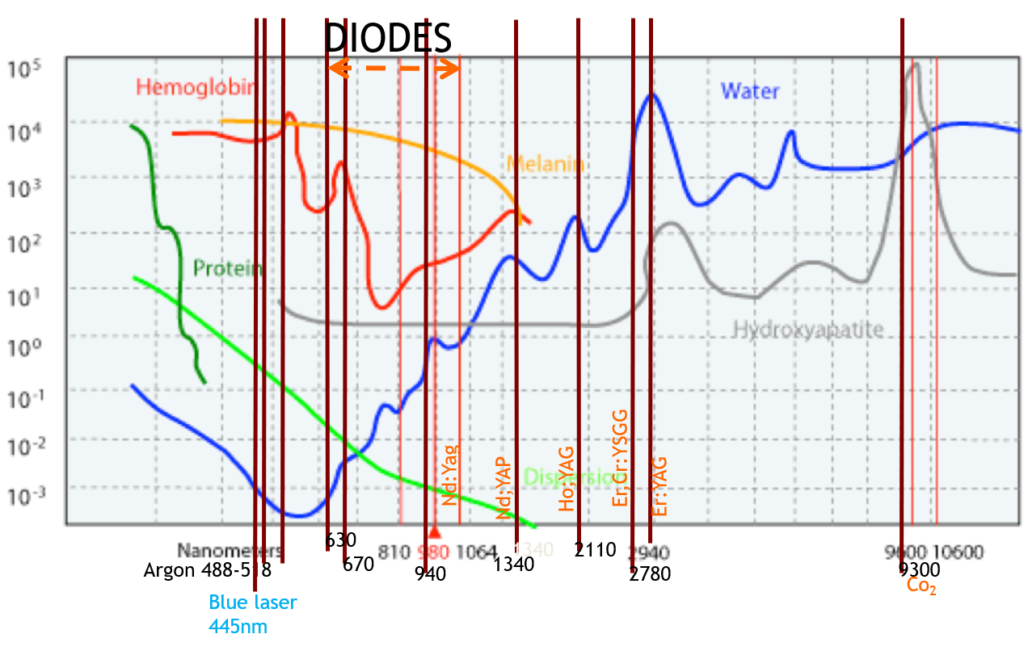Absorption Spectrum | GOLDMAN DENTAL MANAGEMENT
