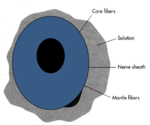 Mantle and Core Bundles | GOLDMAN DENTAL MANAGEMENT
